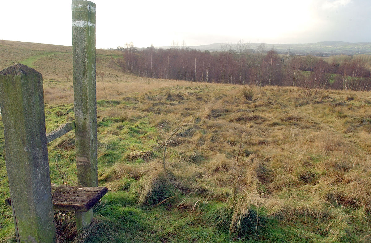 Scarecrows to take over Ifton Meadows for anniversary fun day ...