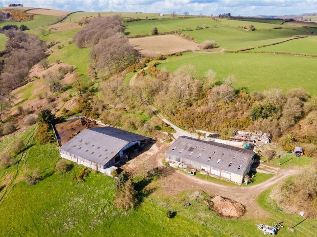 Powys farm with 250 acres of land is up for sale | Shropshire Star