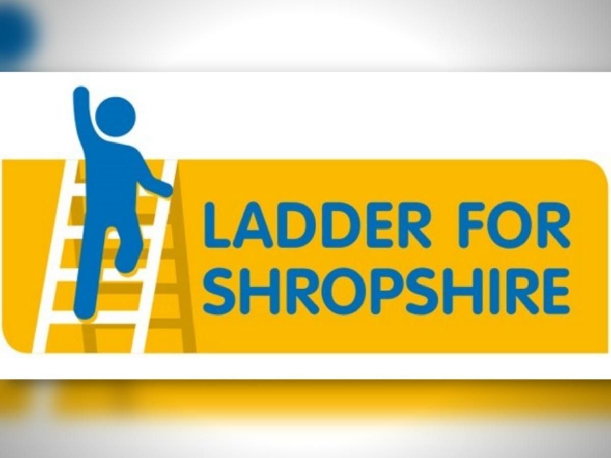 Ladder for Shropshire: Apprenticeship campaign hailed a big success ...