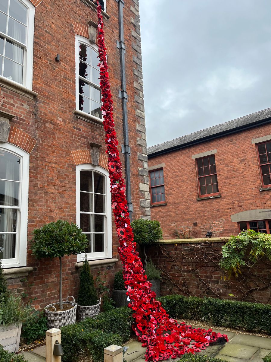 Ludlow’s Community Poppy Waterfall unveiled in Remembrance | Shropshire ...
