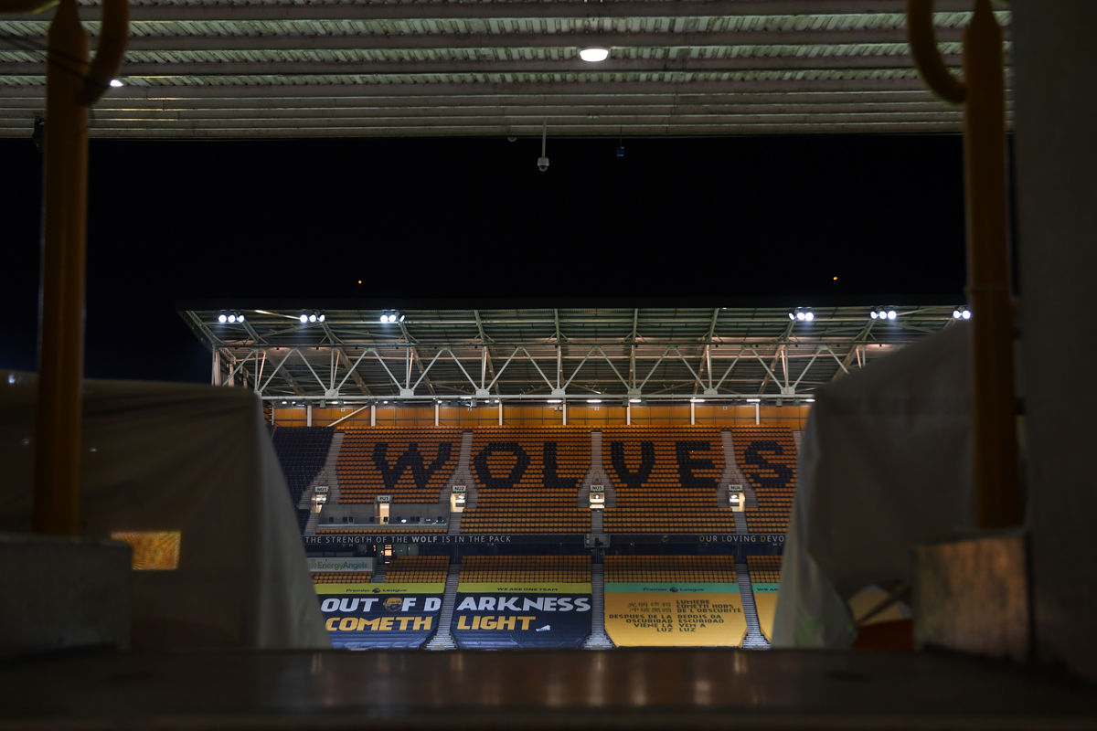 Wolves Fans’ Parliament chairman quits a week into role | Express & Star