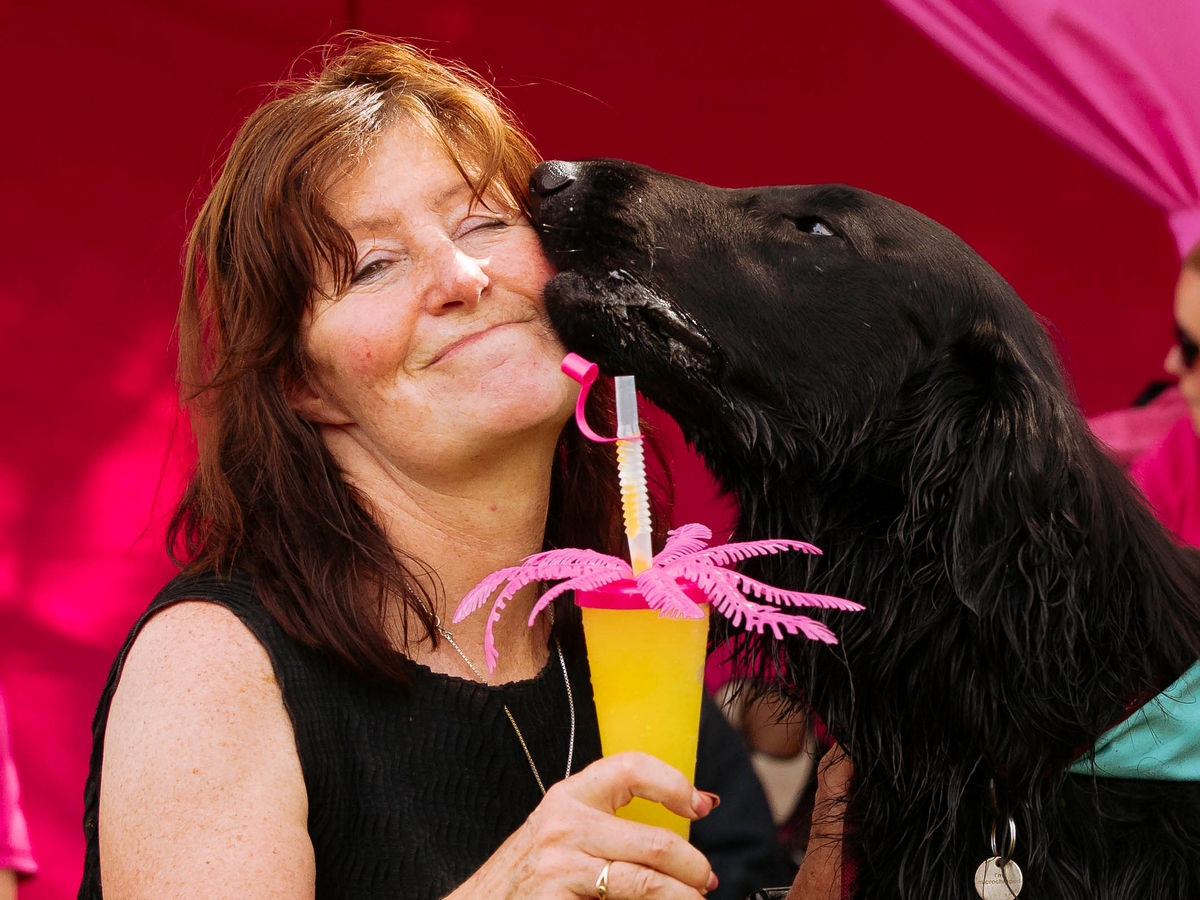 In pictures: Ludlow Dog Day welcomes thousands to tenth anniversary ...