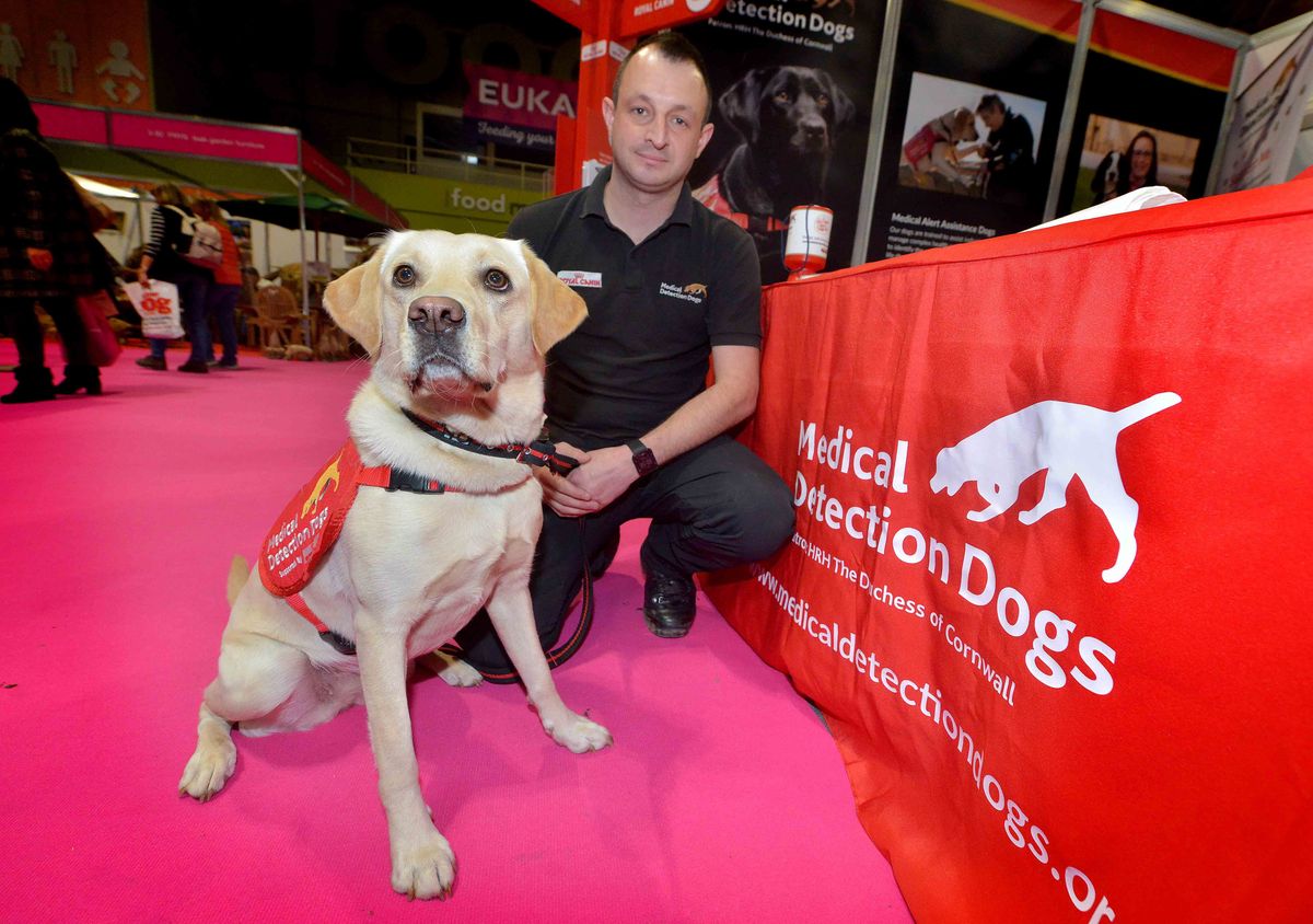 Crufts 2019: Work dogs on show at Birmingham NEC | Express & Star