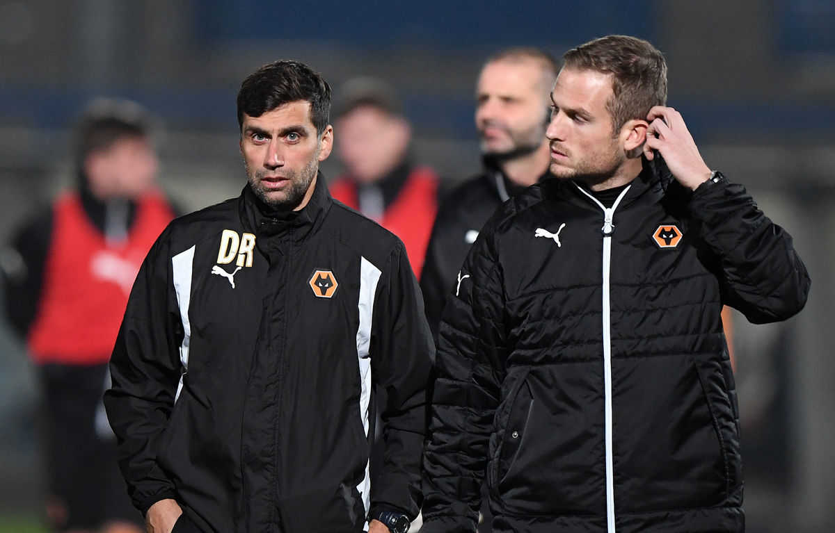 Darren Ryan confirmed as Wolves under-18 boss | Express & Star