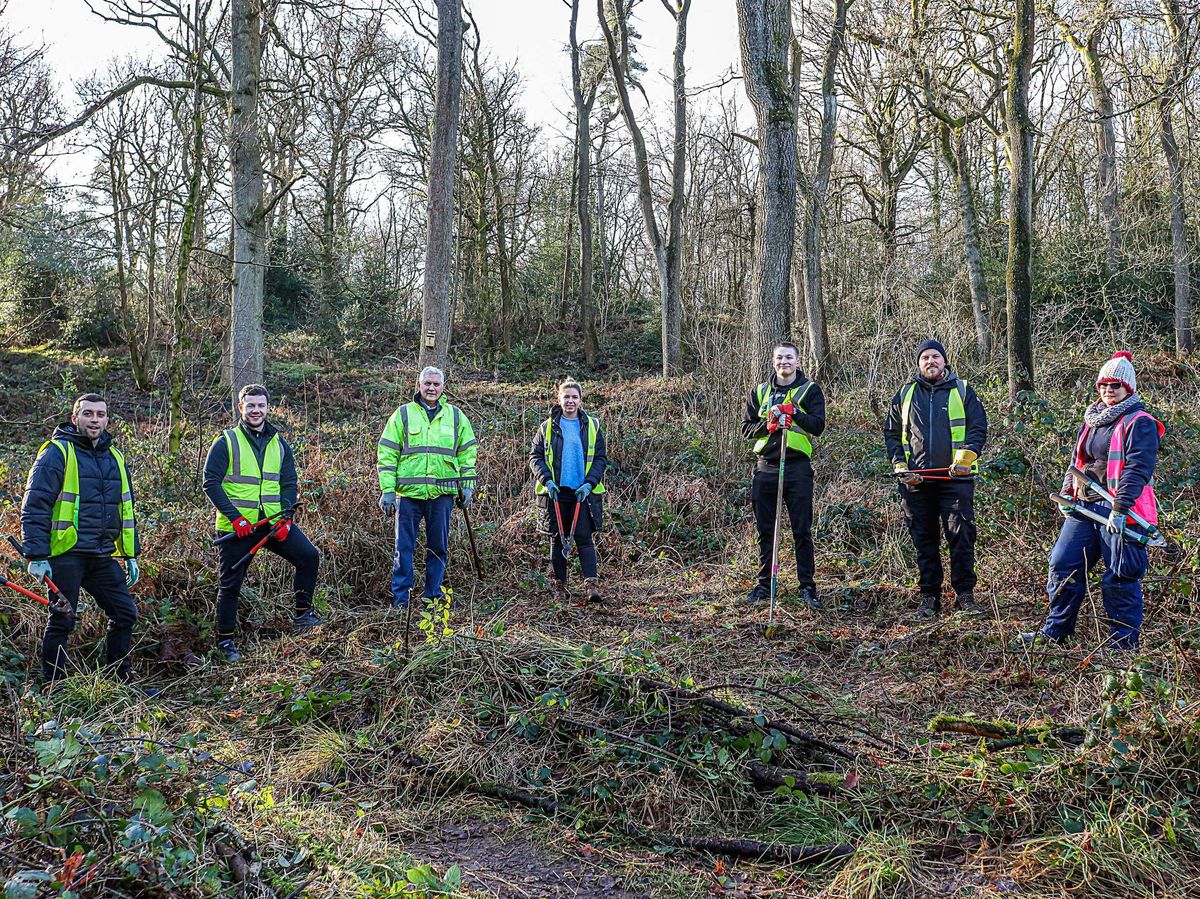 Tree planting scheme planned for Wolverhampton | Express & Star