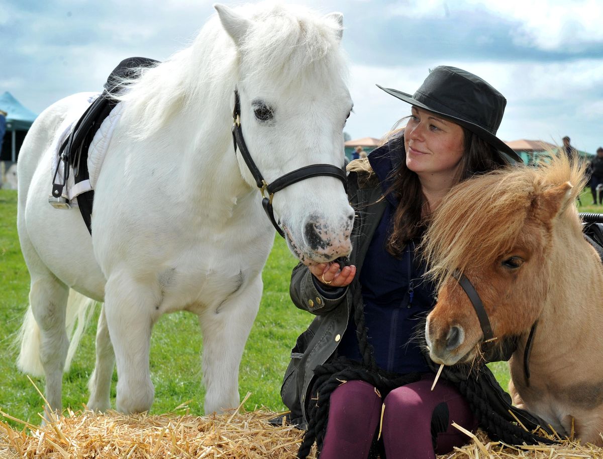 Spring fair success for Fordhall Farm | Shropshire Star