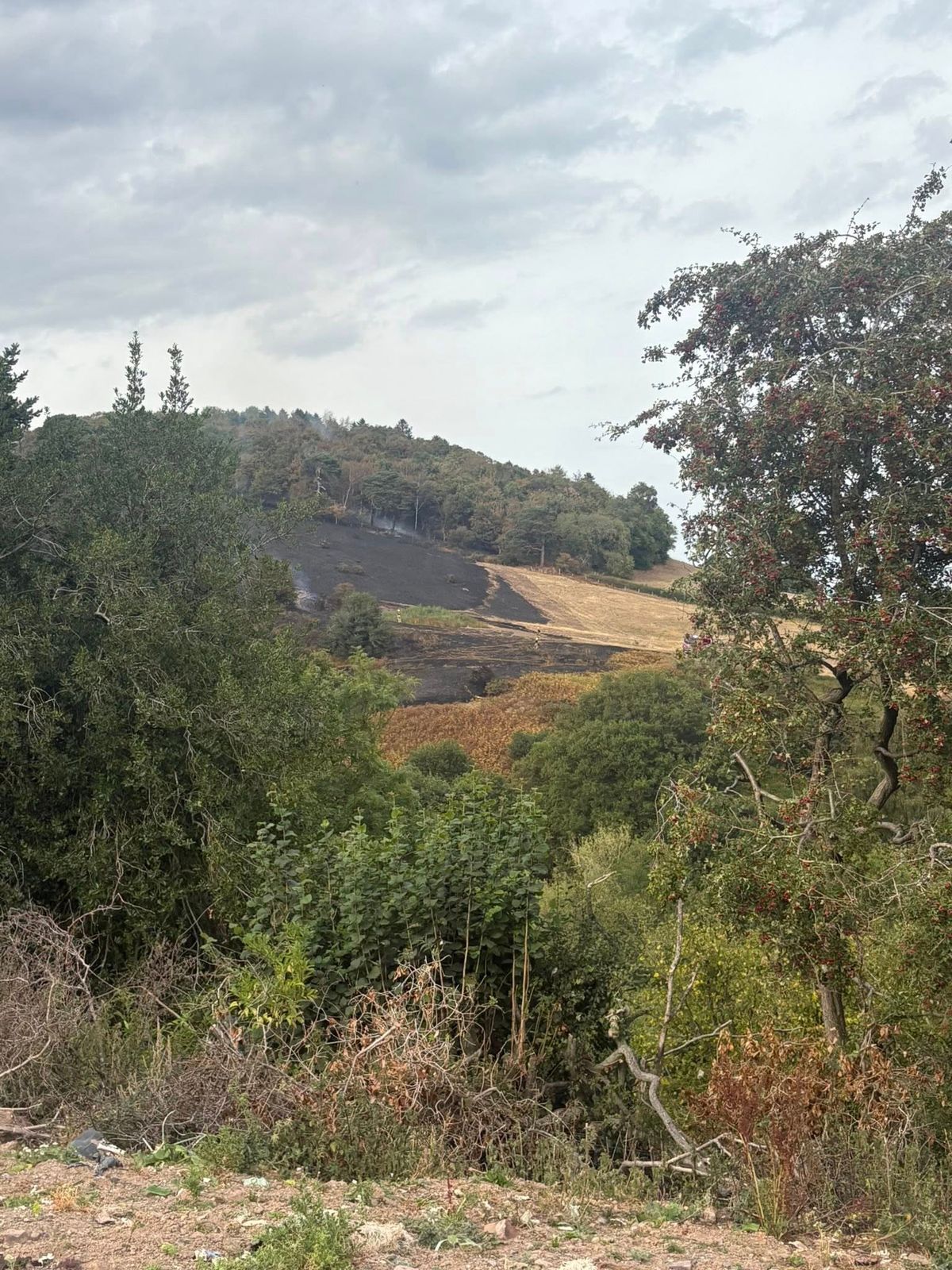 Firefighters battle two giant wildfires on frantic day of incidents ...