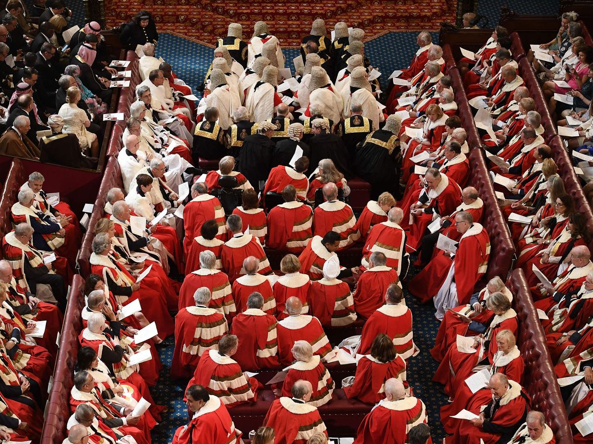 Lords reform task force proposed amid moves to oust hereditary peers ...