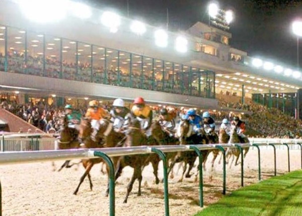 Wolverhampton Racecourse owners unveil plans to build greyhound track ...