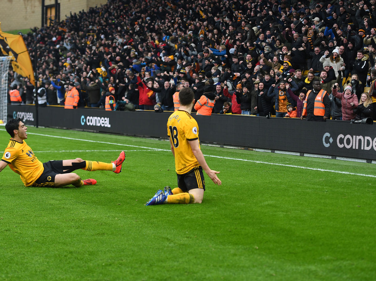 Revealed: Wolves to install rail seats at Molineux | Shropshire Star