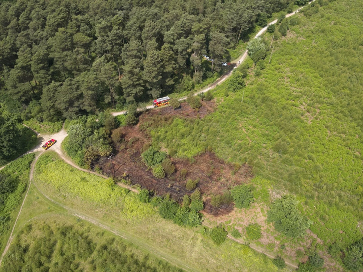 Fire crews extinguish 'deliberate' blaze at Cannock Chase | Express & Star