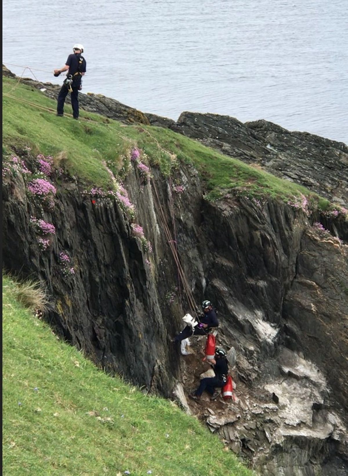 Lamb trapped on cliff ledge is rescued | Shropshire Star