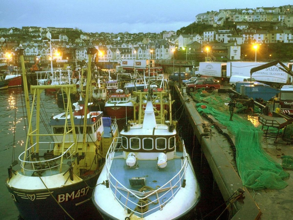 Damaged air valve ‘potential source leading to parasite in water ...