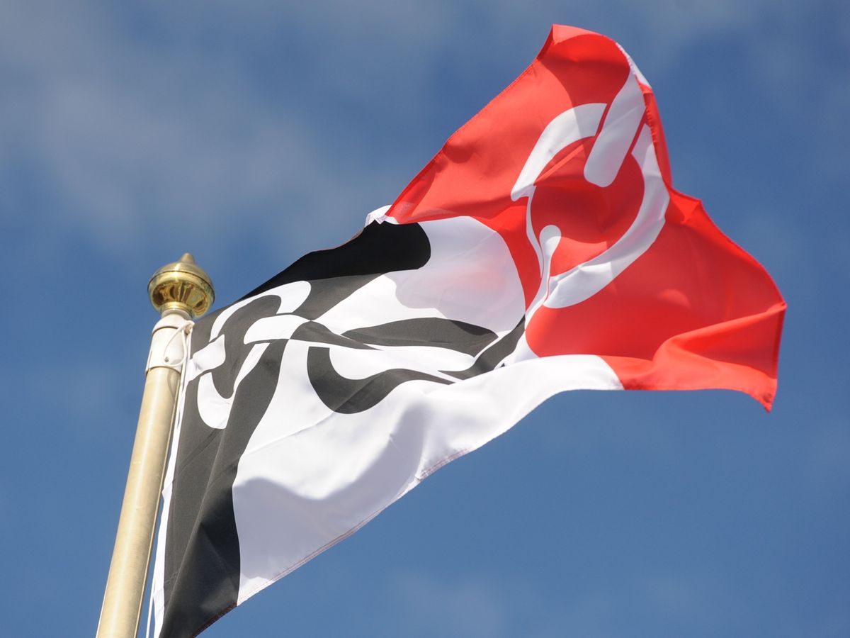 Black Country flag 'racism' row: What is the flag and what does it ...