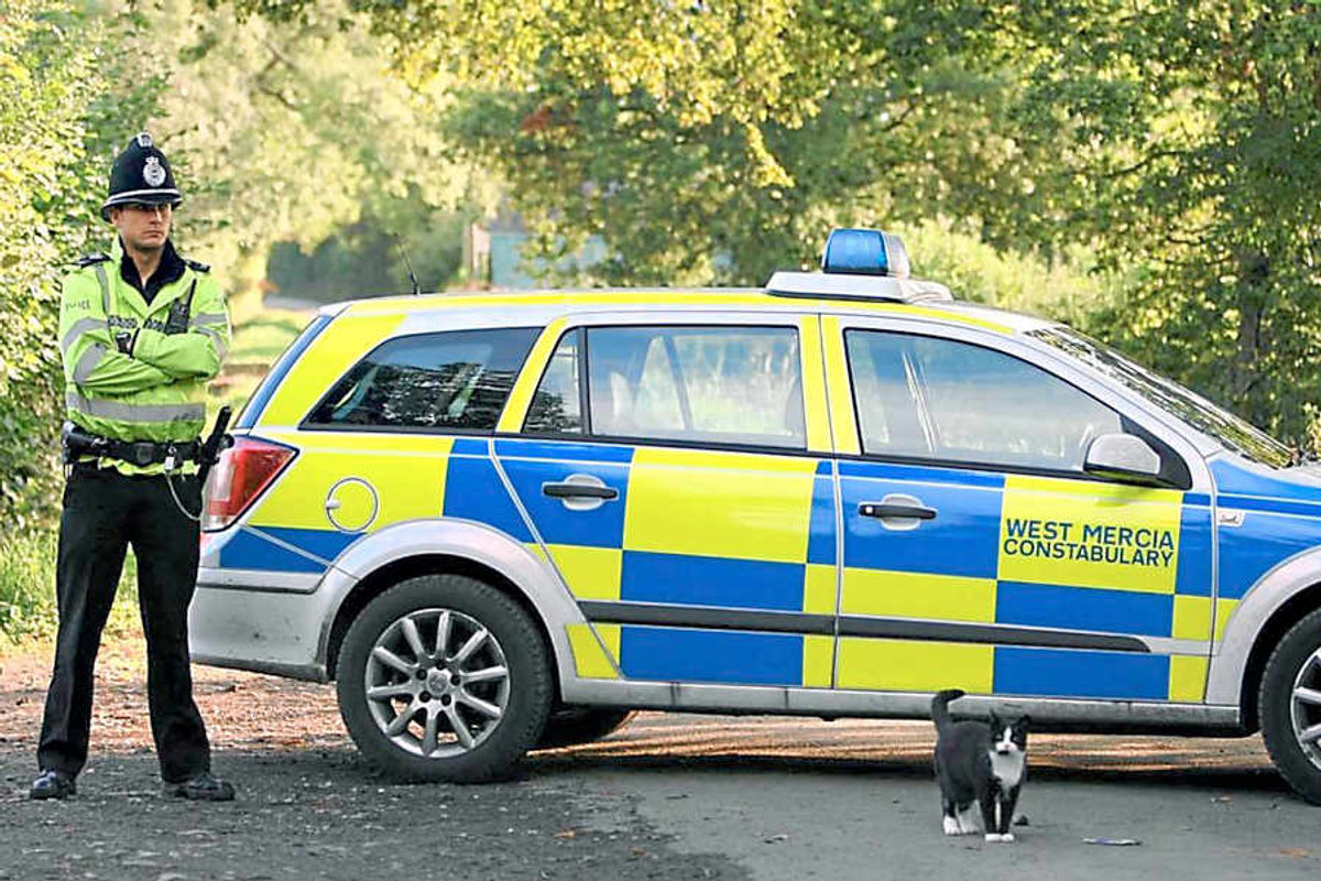 Telford baseball bat raider in US flag onesie | Shropshire Star