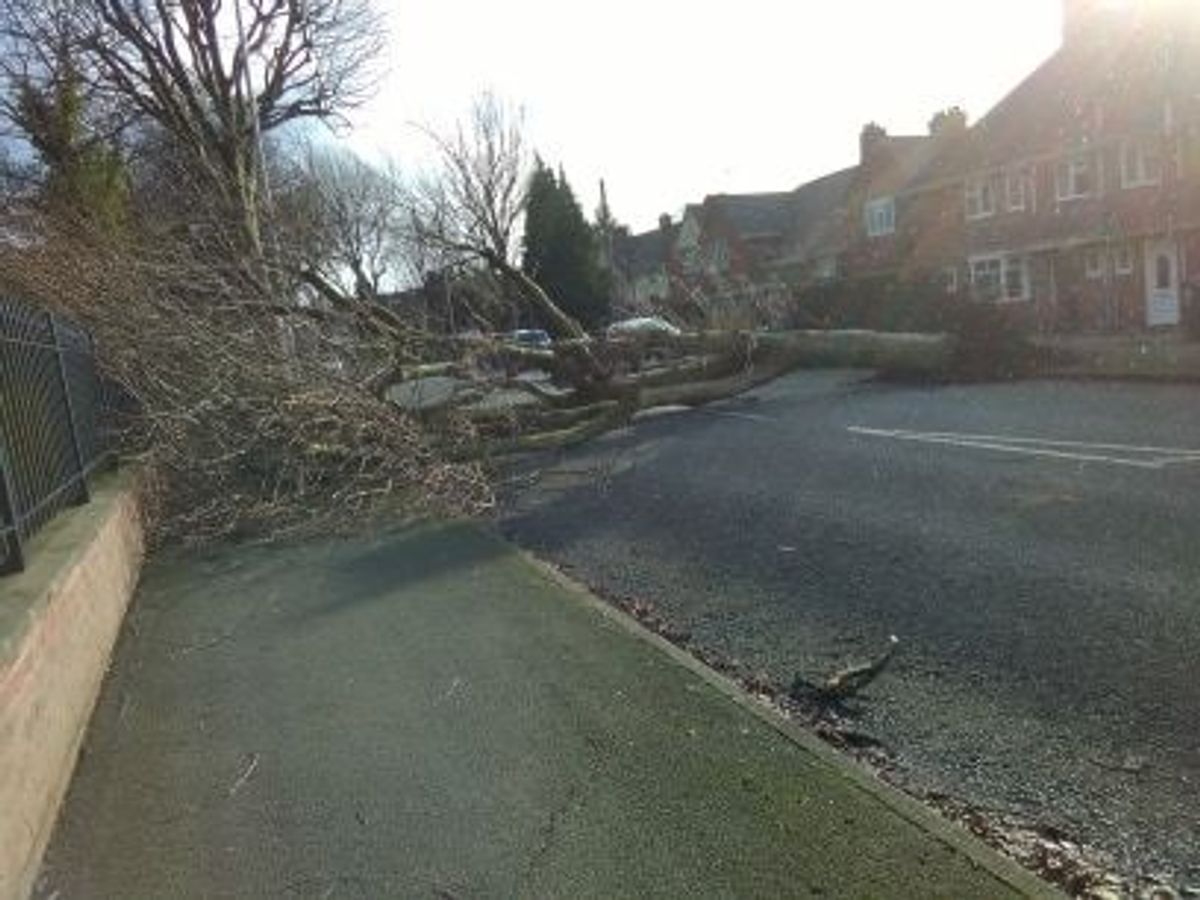 Trees crash down amid warnings of second successive stormy weekend ...
