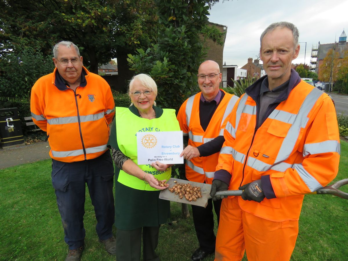 Flowers to bring splash of deep purple to raise awareness in fight ...