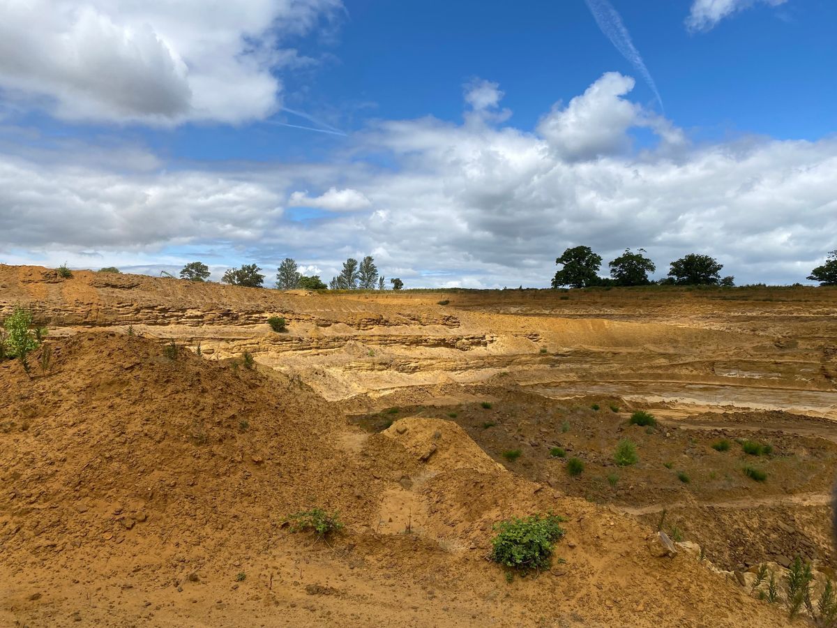 Plant species recorded in Bedfordshire for first time in restored ...