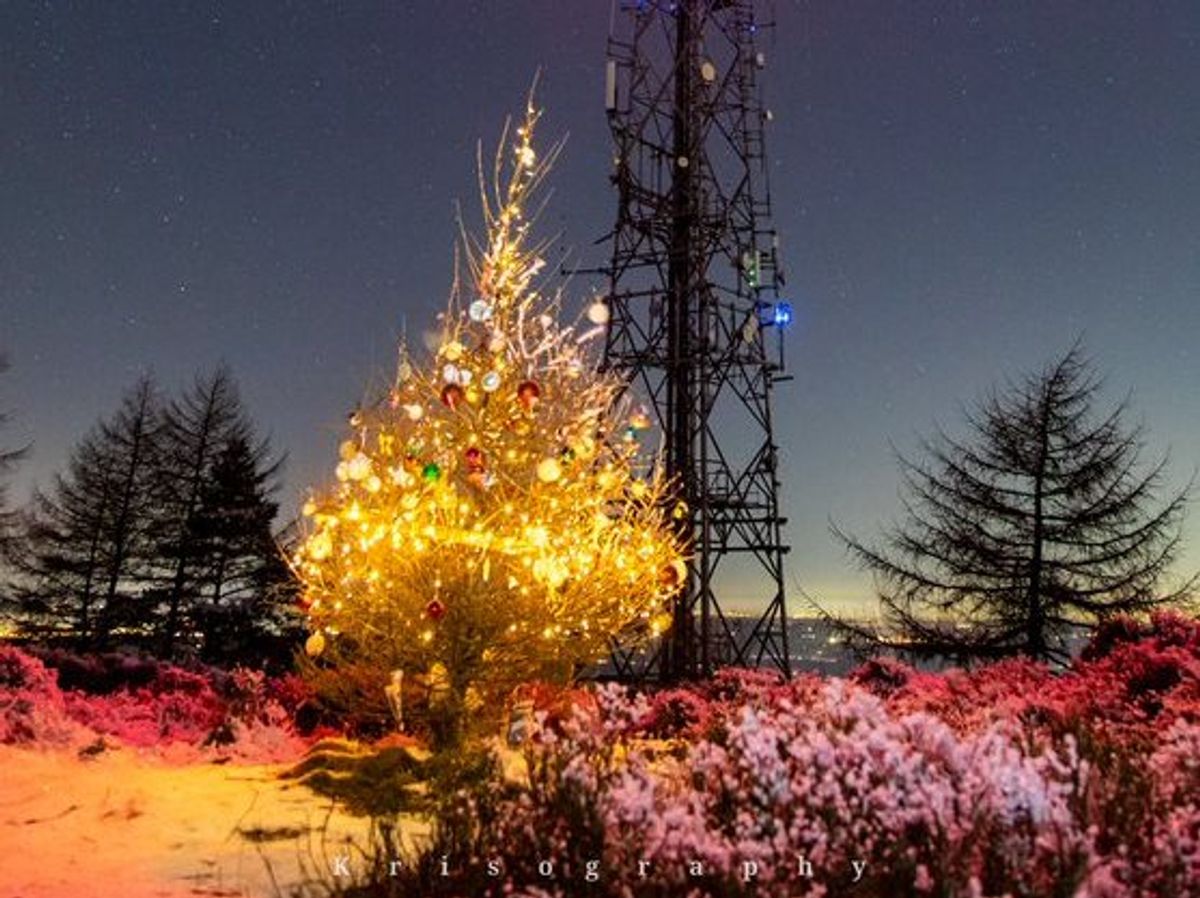 Festive surprise on top of The Wrekin as tree honours those we've lost ...