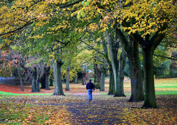 The Black Country and Staffordshire parks, green spaces and beauty ...