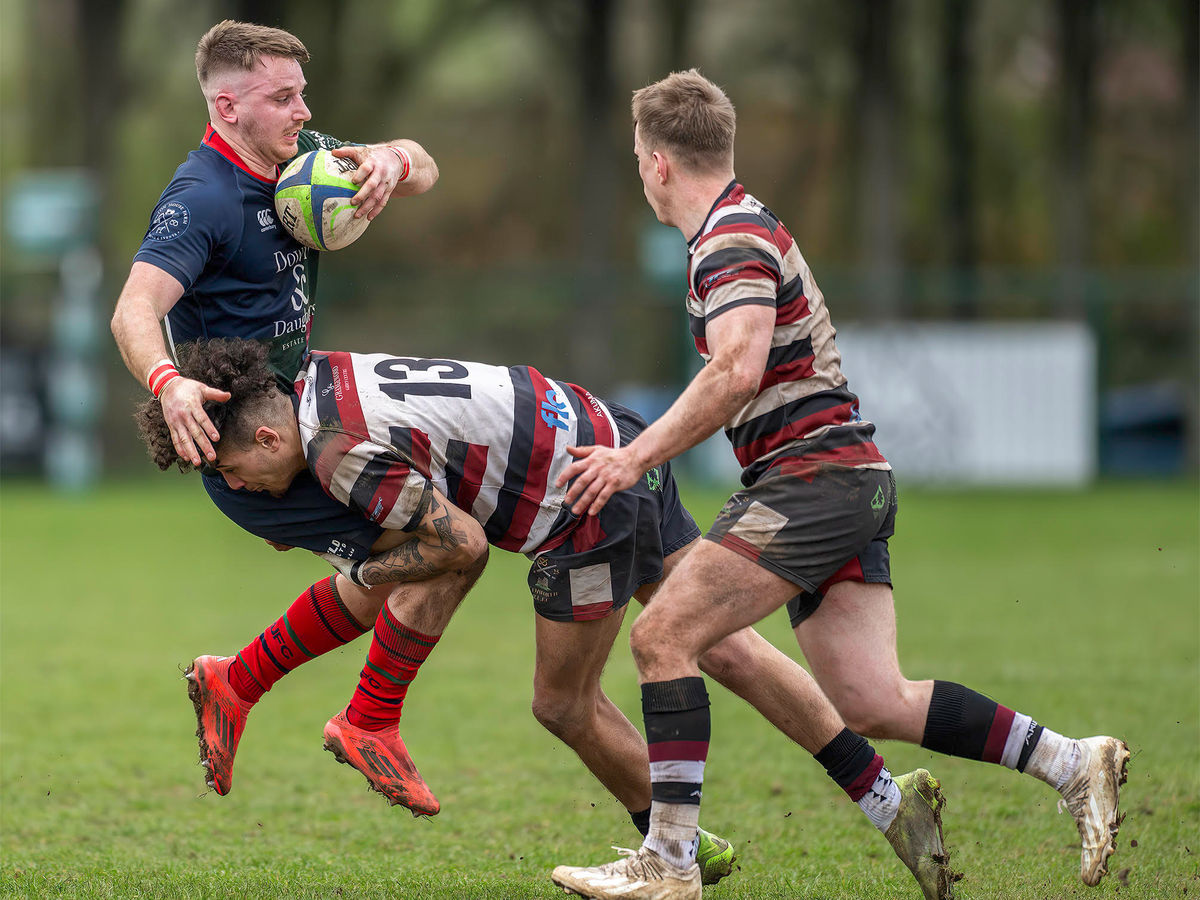 Latest Midlands and Staffordshire rugby news | Express & Star