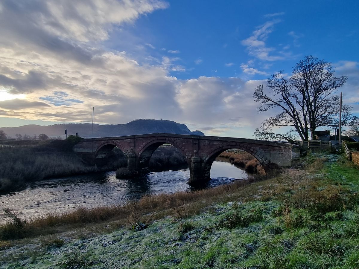 Money available for tree planting scheme along the River Severn ...