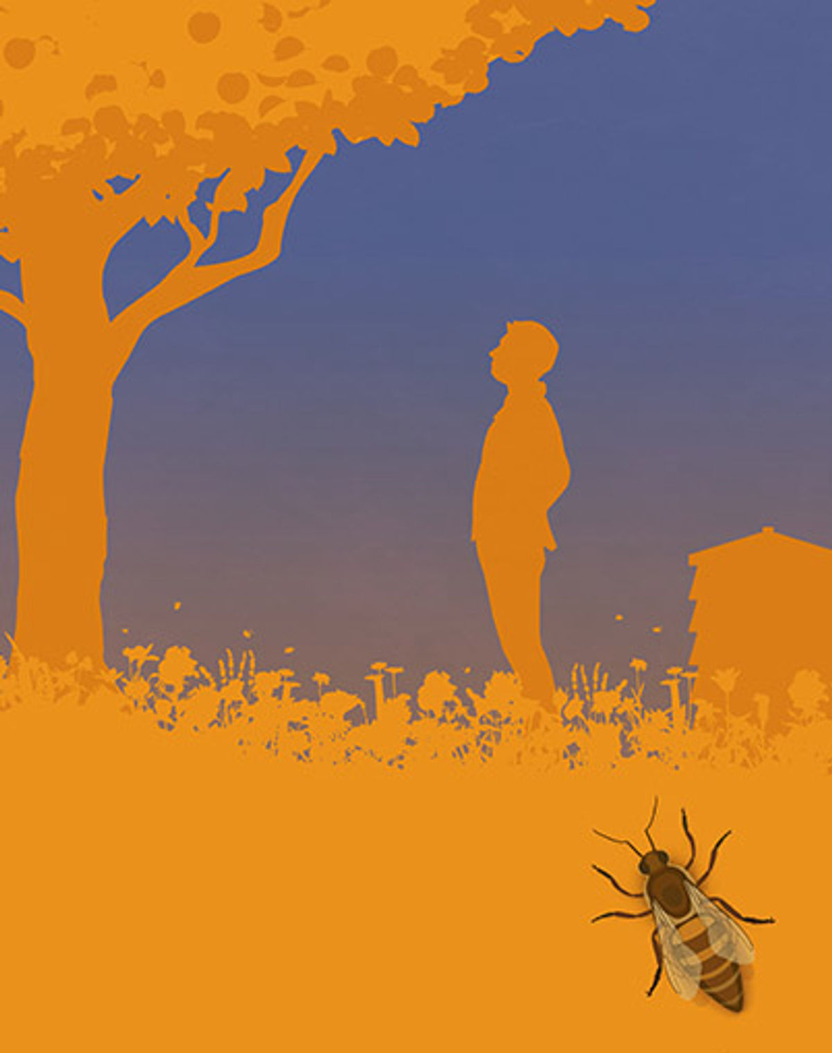 Humble Boy by Charlotte Jones heading to Oldbury Rep | Express & Star