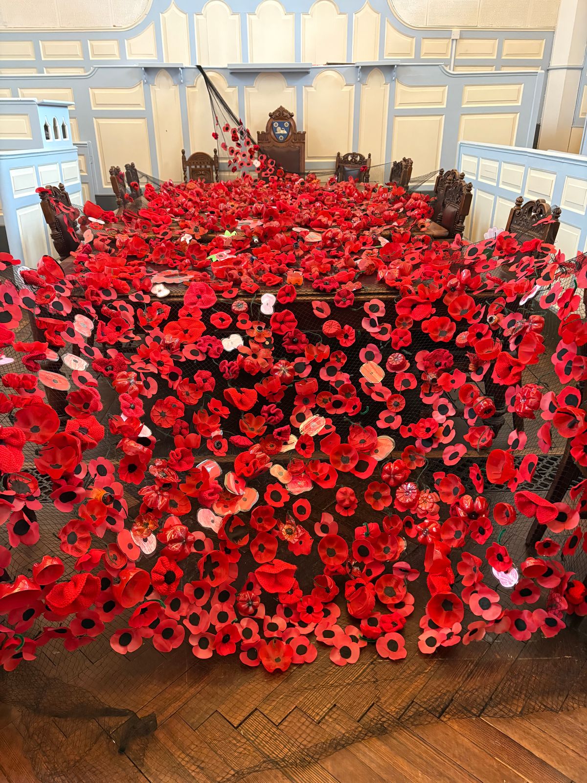 Ludlow’s Community Poppy Waterfall unveiled in Remembrance | Shropshire ...