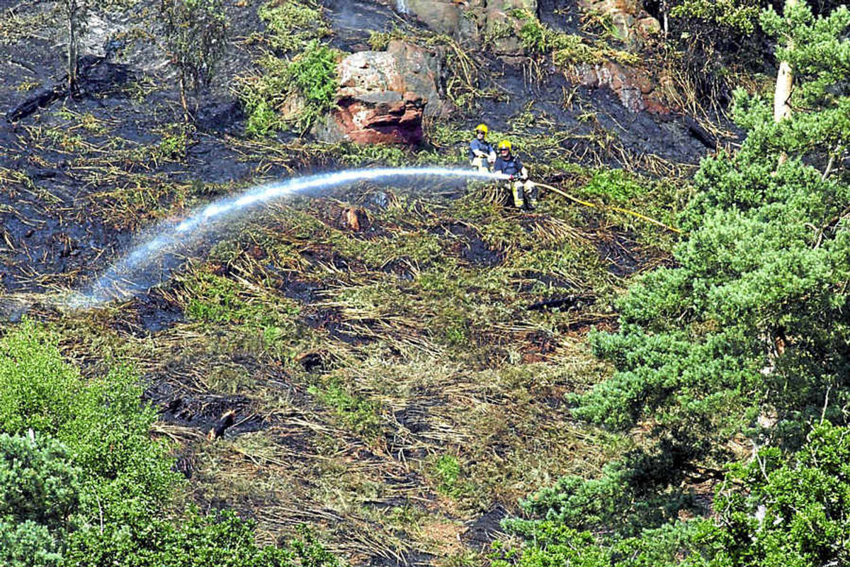Grinshill Wood owners to restore fire-hit Shropshire beauty spot ...