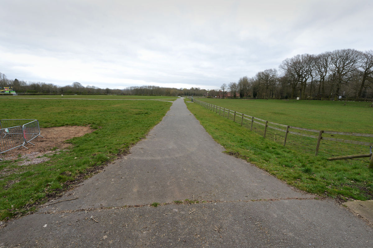 100 people gather for funeral balloon release at Black Country park ...