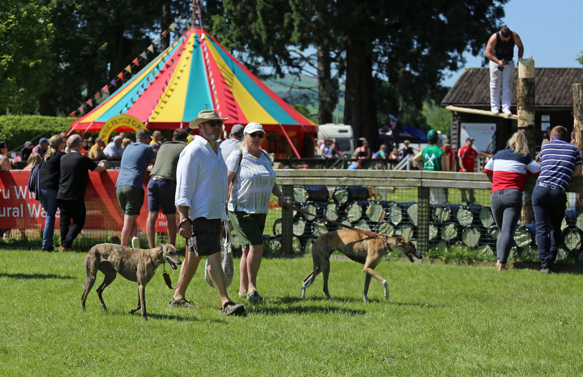 2025 Royal Welsh Spring Festival – A Celebration of Rural Life ...