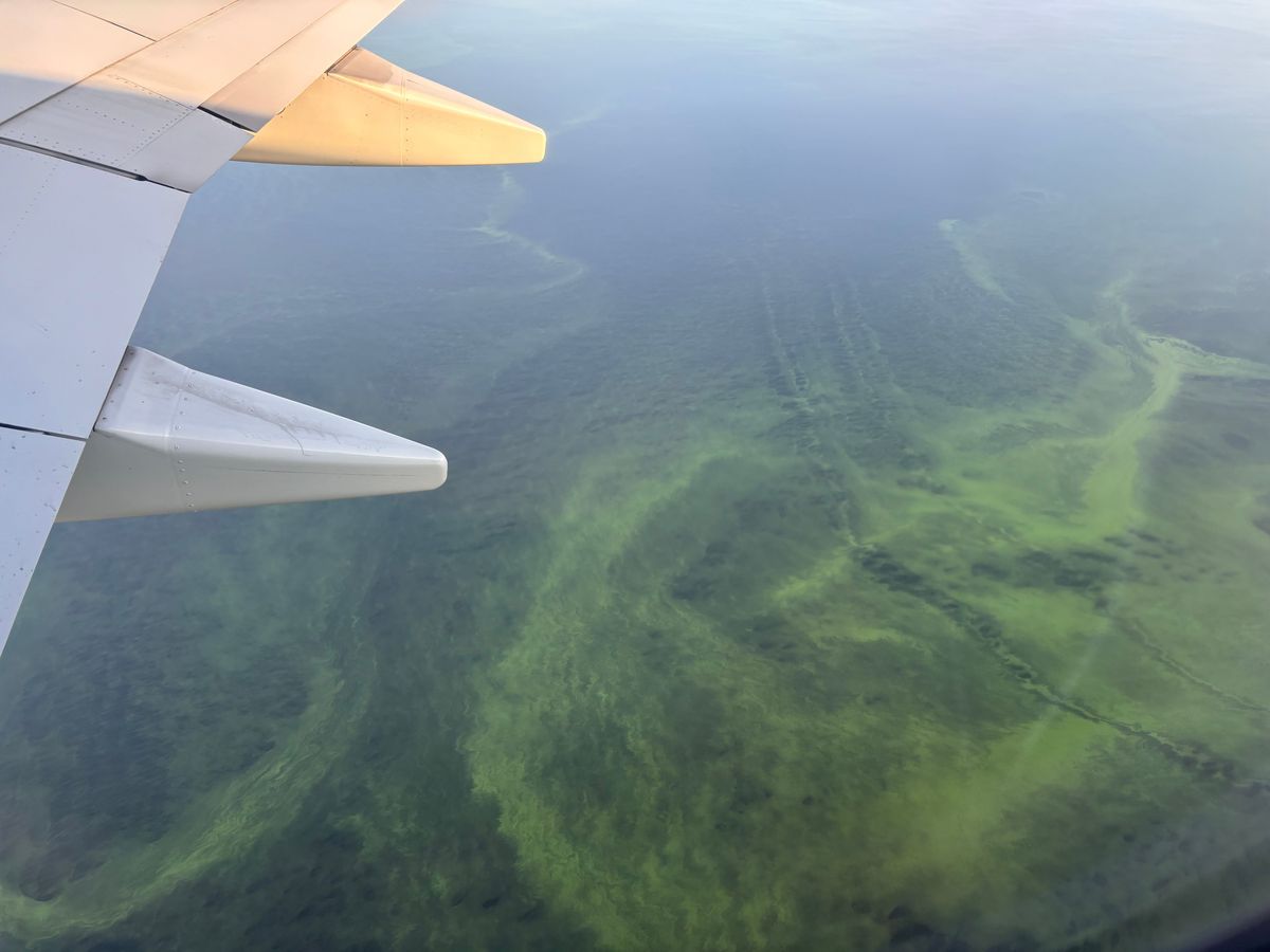 Call for urgent cross-party action to save Lough Neagh | Express & Star