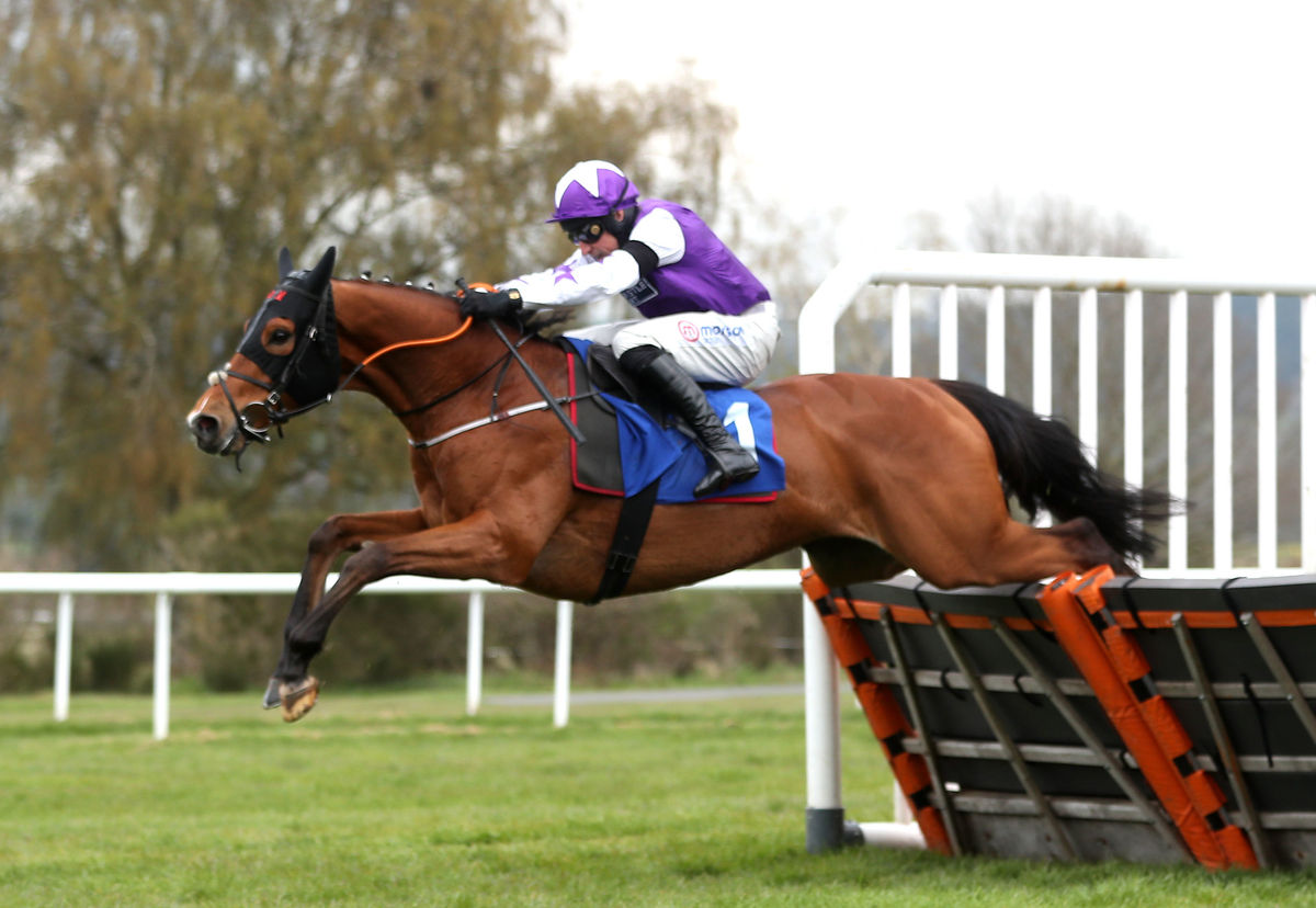 Harry Skelton adds to his tally with Ludlow double | Shropshire Star