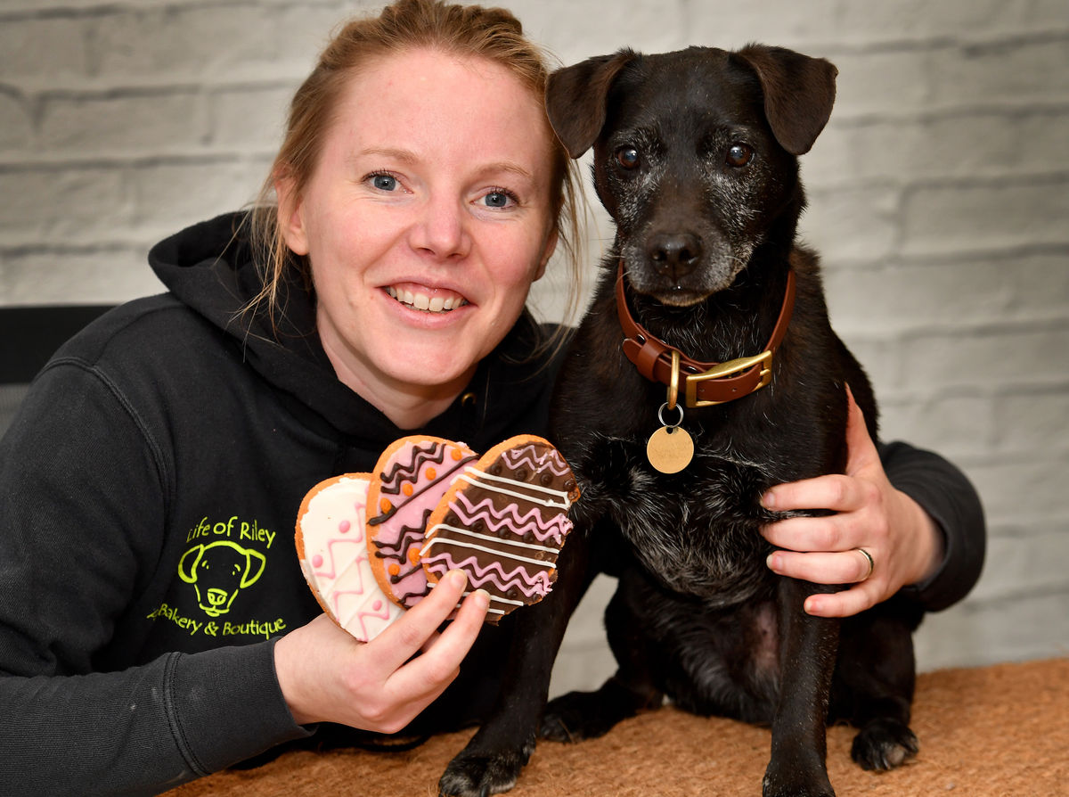 Life of Riley the dog in Market Drayton means eating a plant-based ...