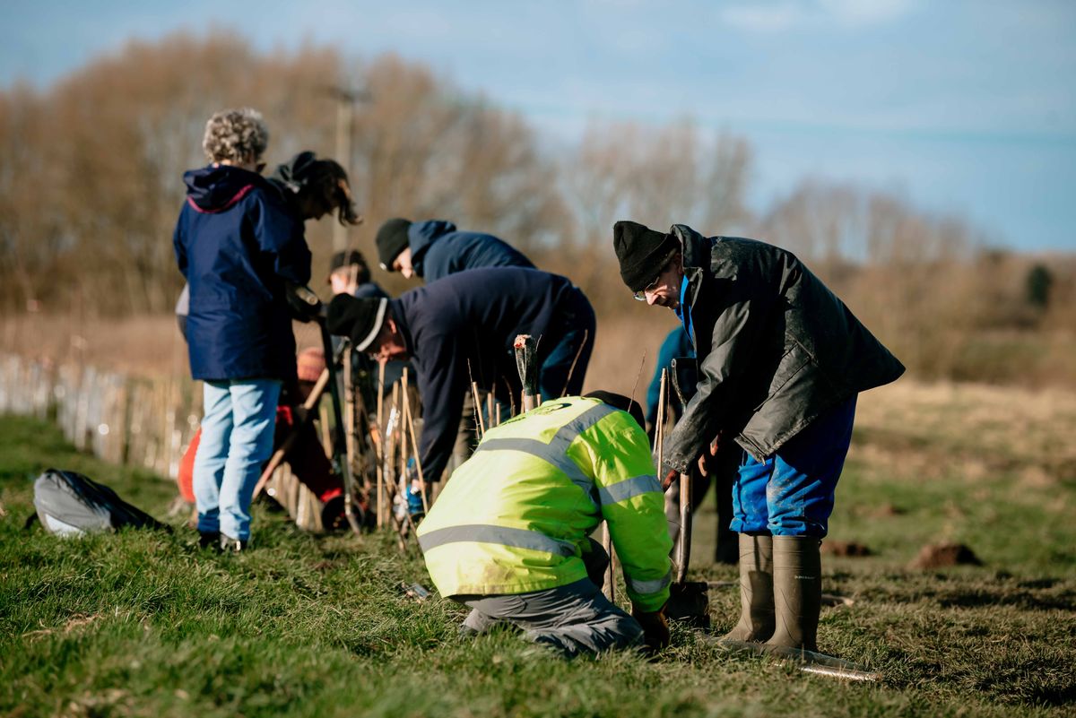 4,000 trees being planted in Wolverhampton project | Express & Star