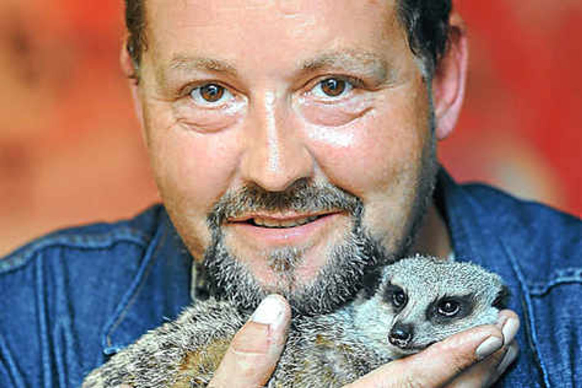 Meerkats not 'simples' to keep warns expert | Express & Star