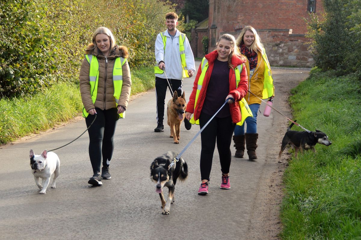 Telford-based Reconomy unveils Christmas video | Shropshire Star