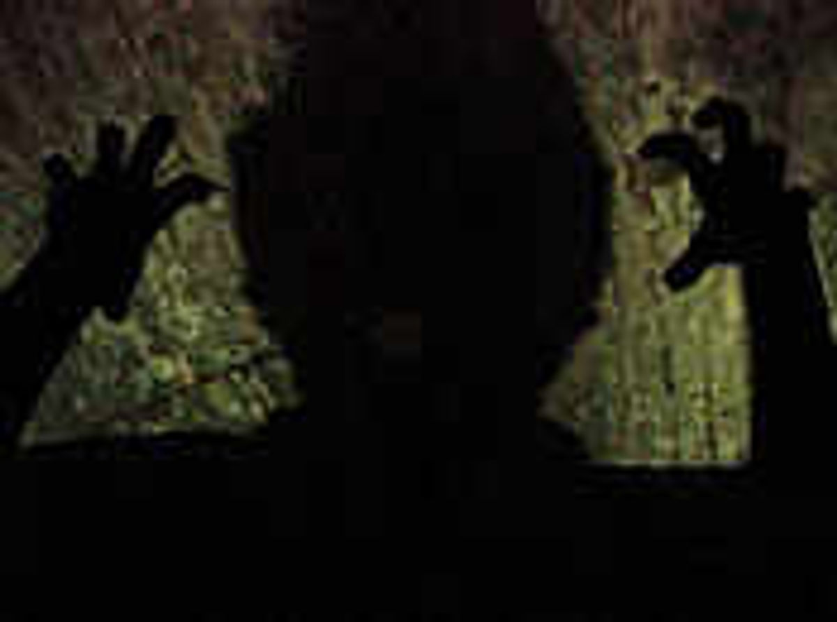 Spooky vision at store | Shropshire Star