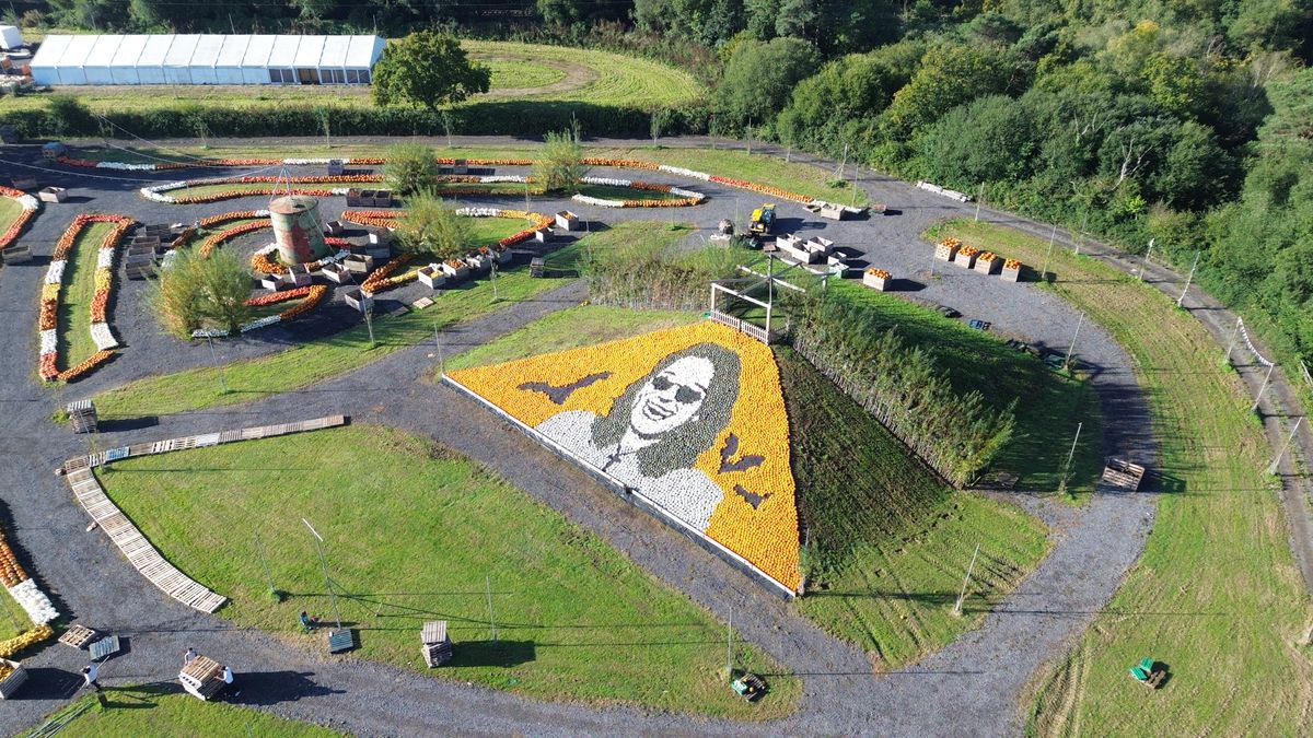 Stunning Ozzy Osbourne mosaic by farm using 10,000 pumpkins pays ...