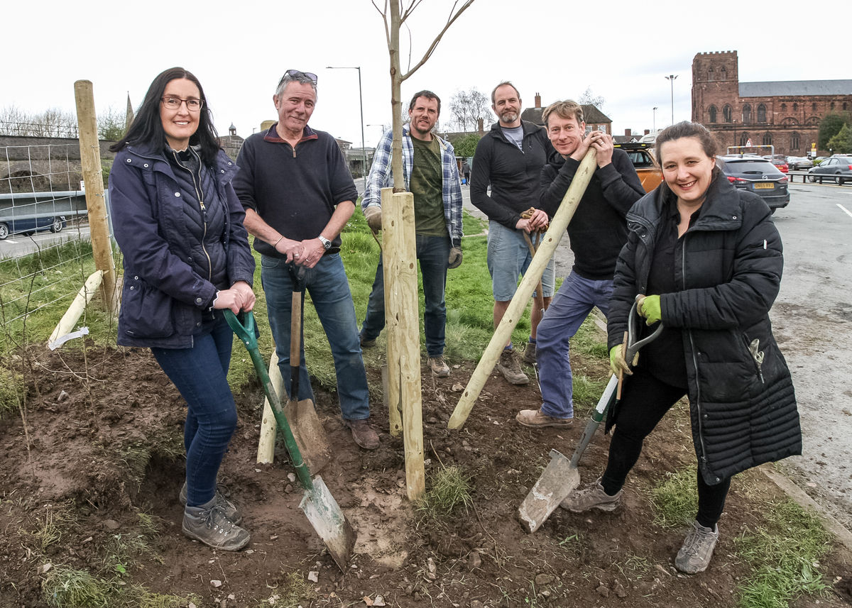 Tree-mendous effort as volunteers get planting | Shropshire Star