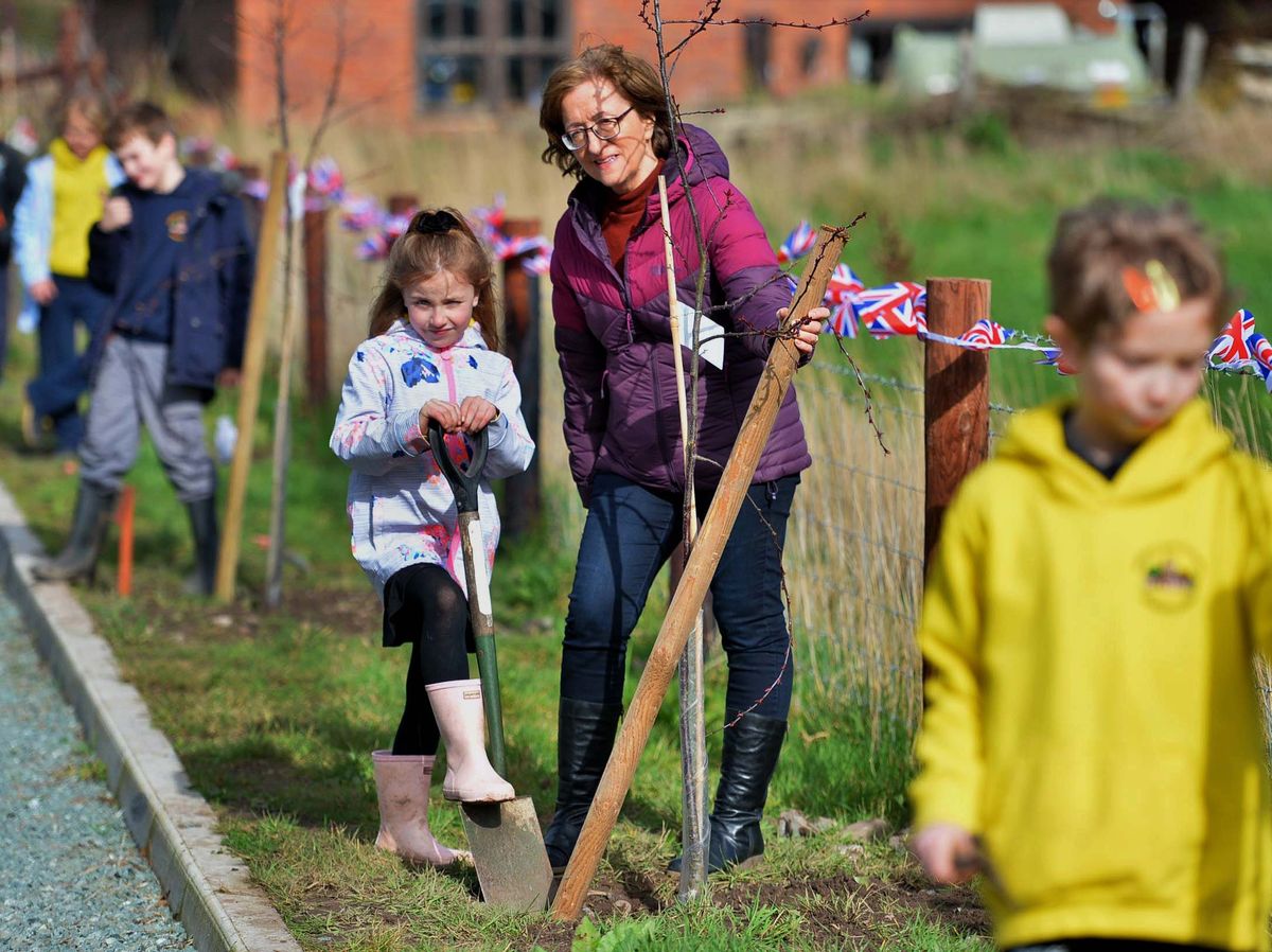 Primary pupils join tree planting effort to mark coronation of King Charles | Shropshire Star