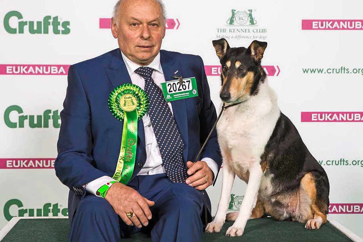Pawsome day as Wem man's dog wins Crufts best of breed | Shropshire Star