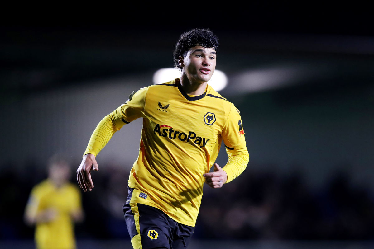 Wolves youngster faces wait for loan | Express & Star