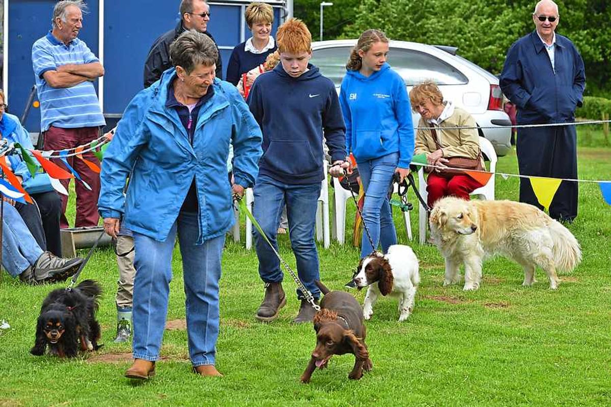 Oak Farm Country Fayre and Dog Show in Ditton Priors fair leads the way ...