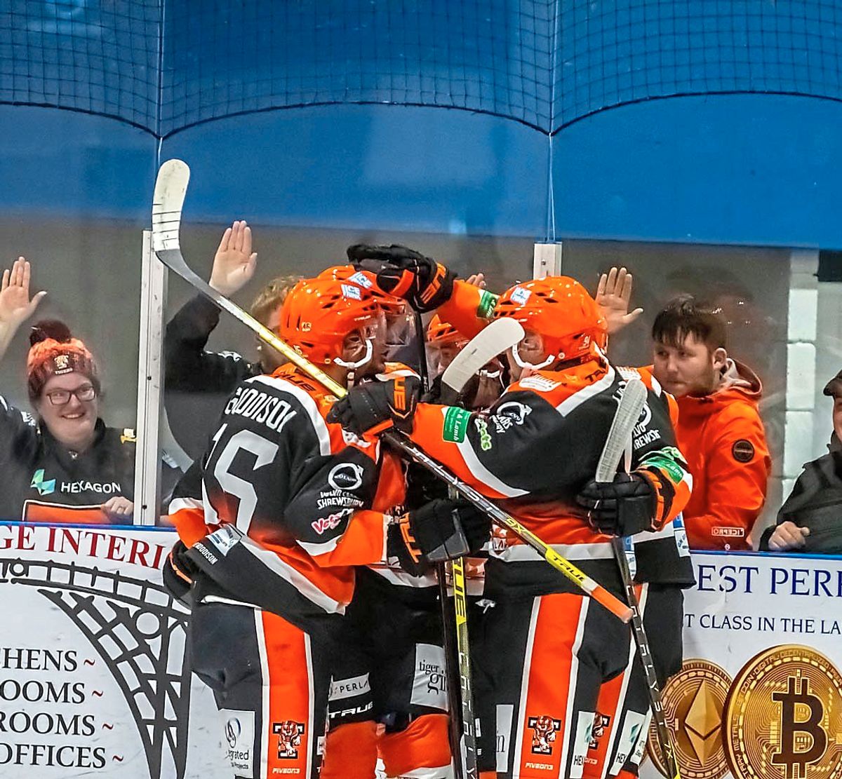 Mistakes prove costly as gritty Telford Tigers taste defeat ...