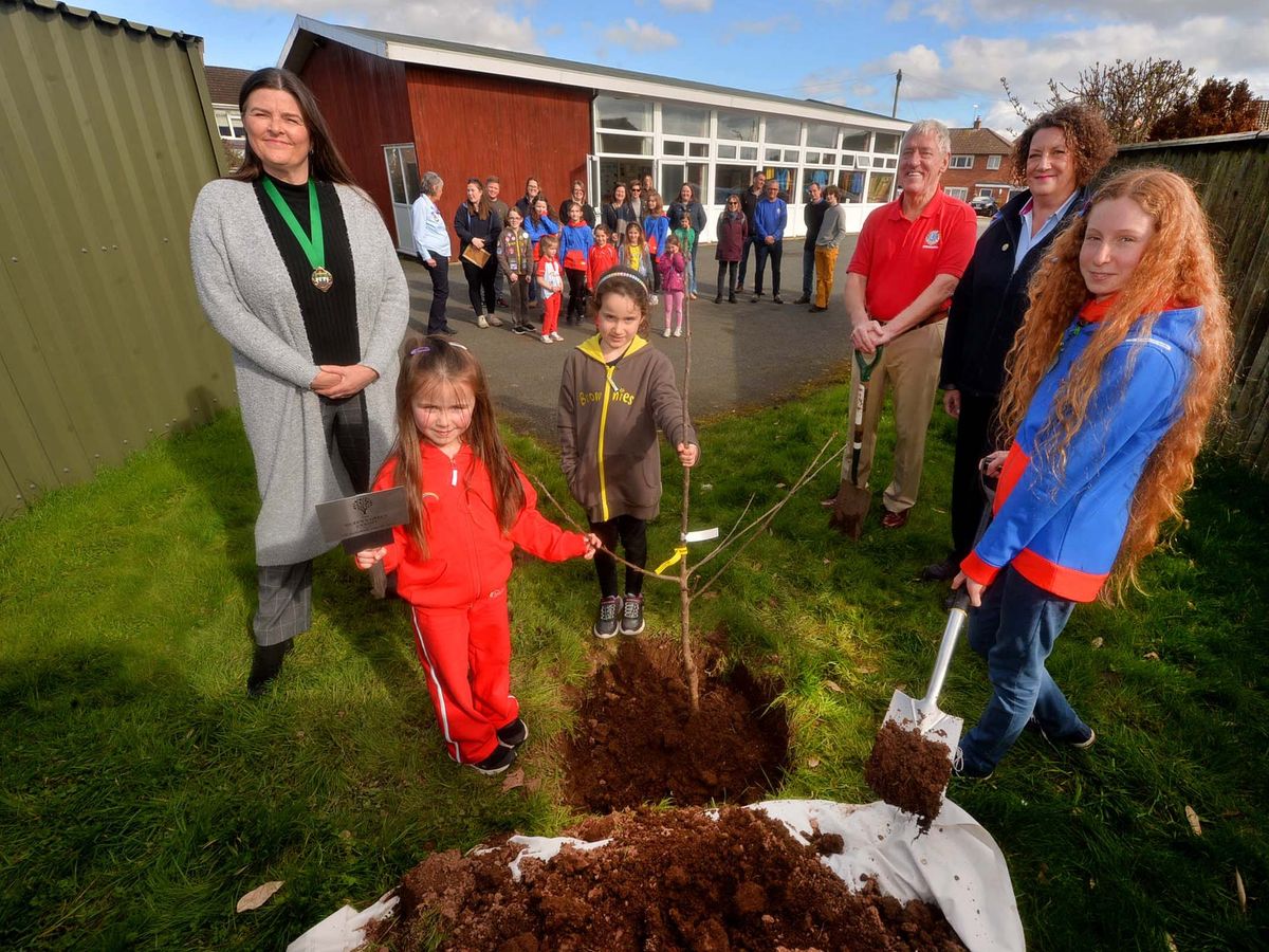 Lions help with tree planting as Girlguides surprise member with award ...