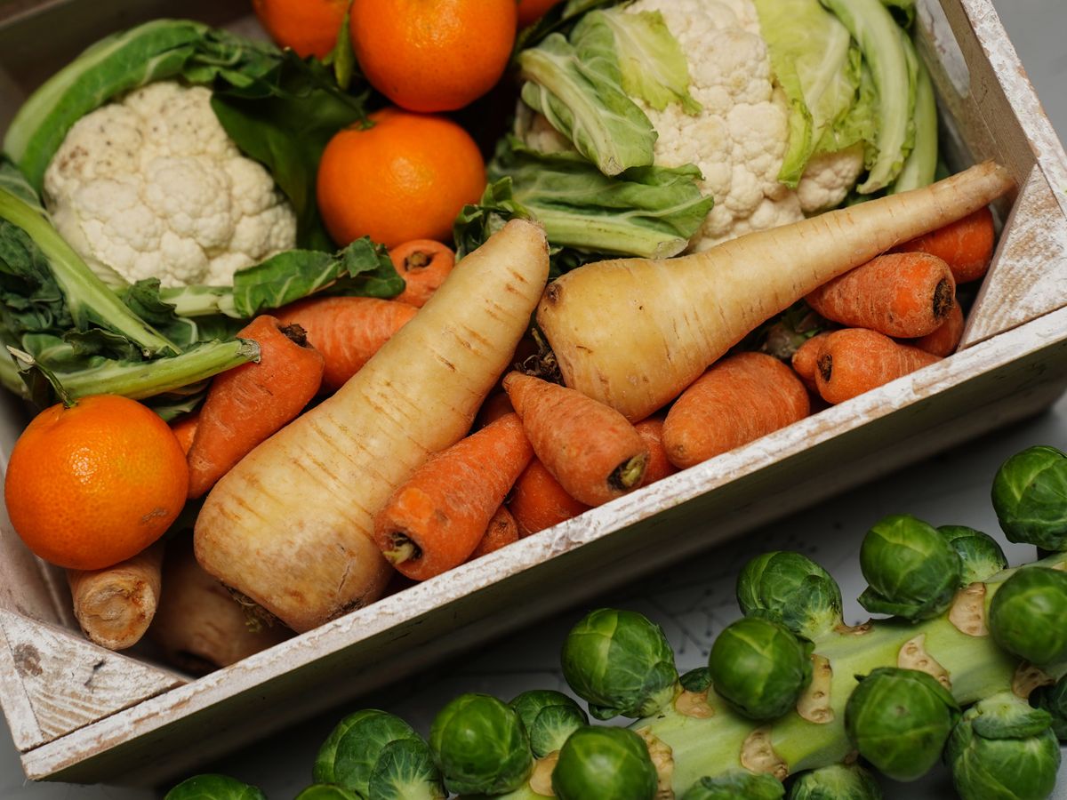 Charities to get cash from £15m fund to redistribute surplus farm food ...
