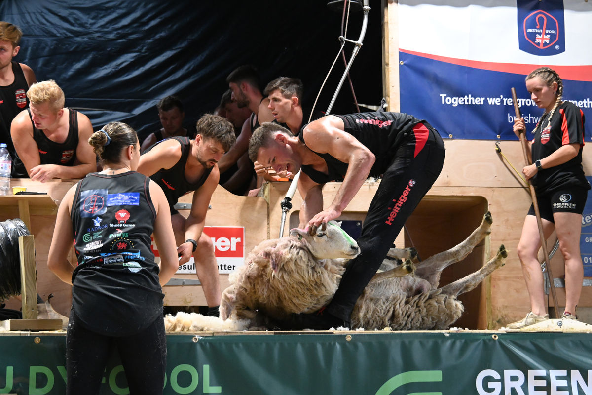Two Welsh Shearers team up to achieve a new British Shearing Record ...
