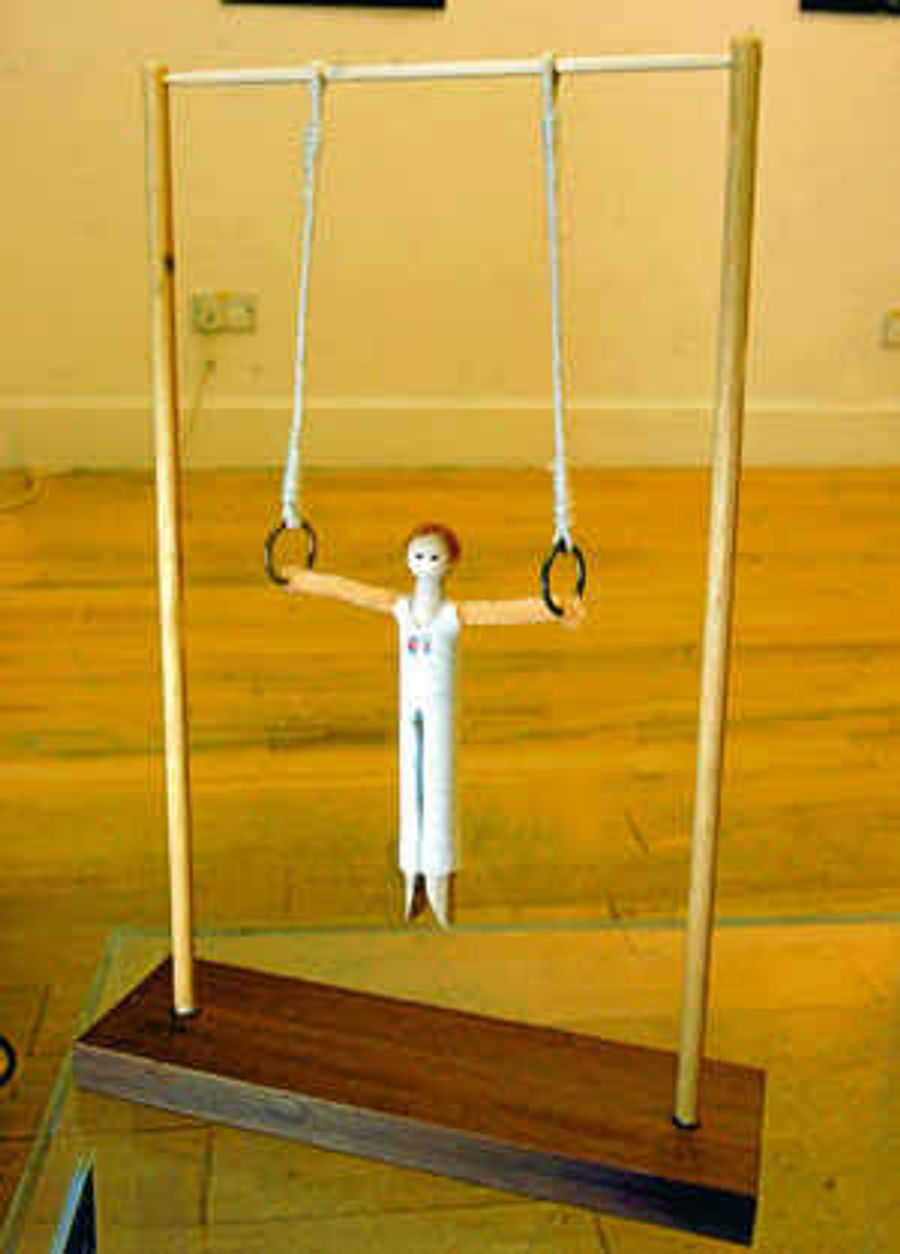 Gallery has a line up of dolly pack athletes | Shropshire Star