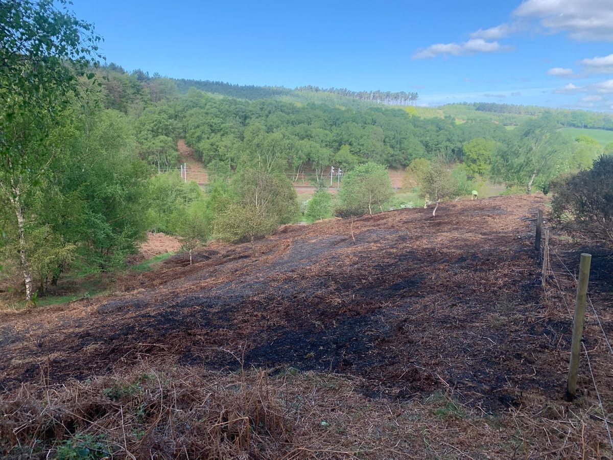 Four fire crews sent to Cannock Chase after latest arson attack ...